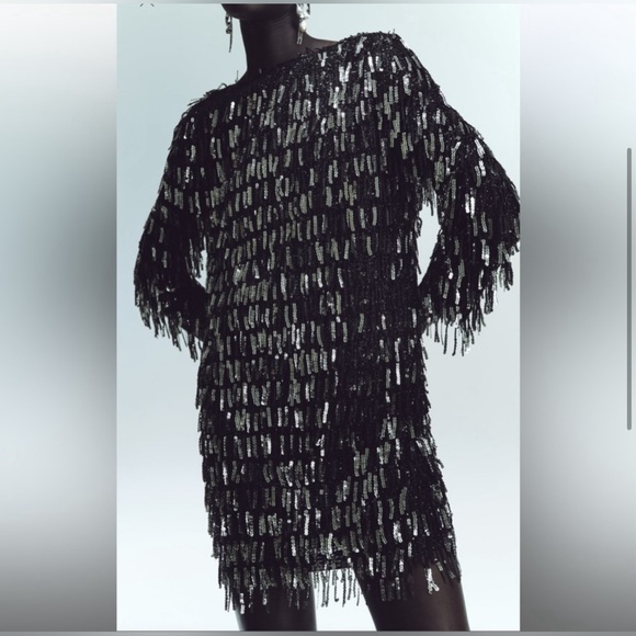 Zara | Dresses | Zara Shimmering Sequin Fabulous Flapper Fringe Mini ...